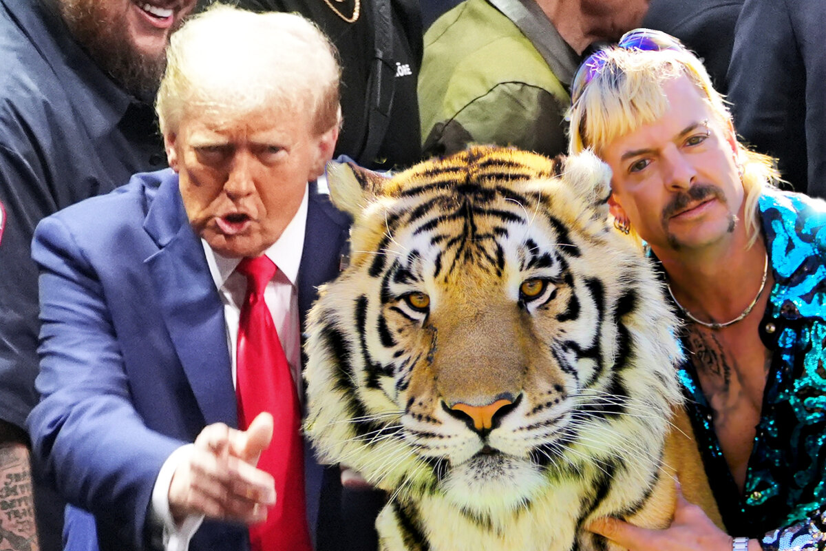 Lässt Donald Trump Netflix-Star Joe Exotic jetzt aus dem Gefängnis ...