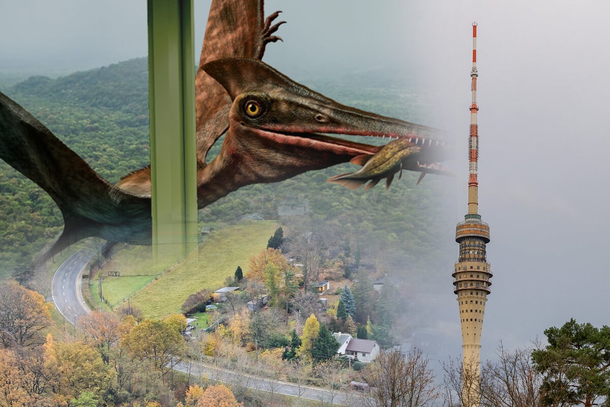 Neue Pläne für den Dresdner Fernsehturm: Ein Blick in die Zukunft ...