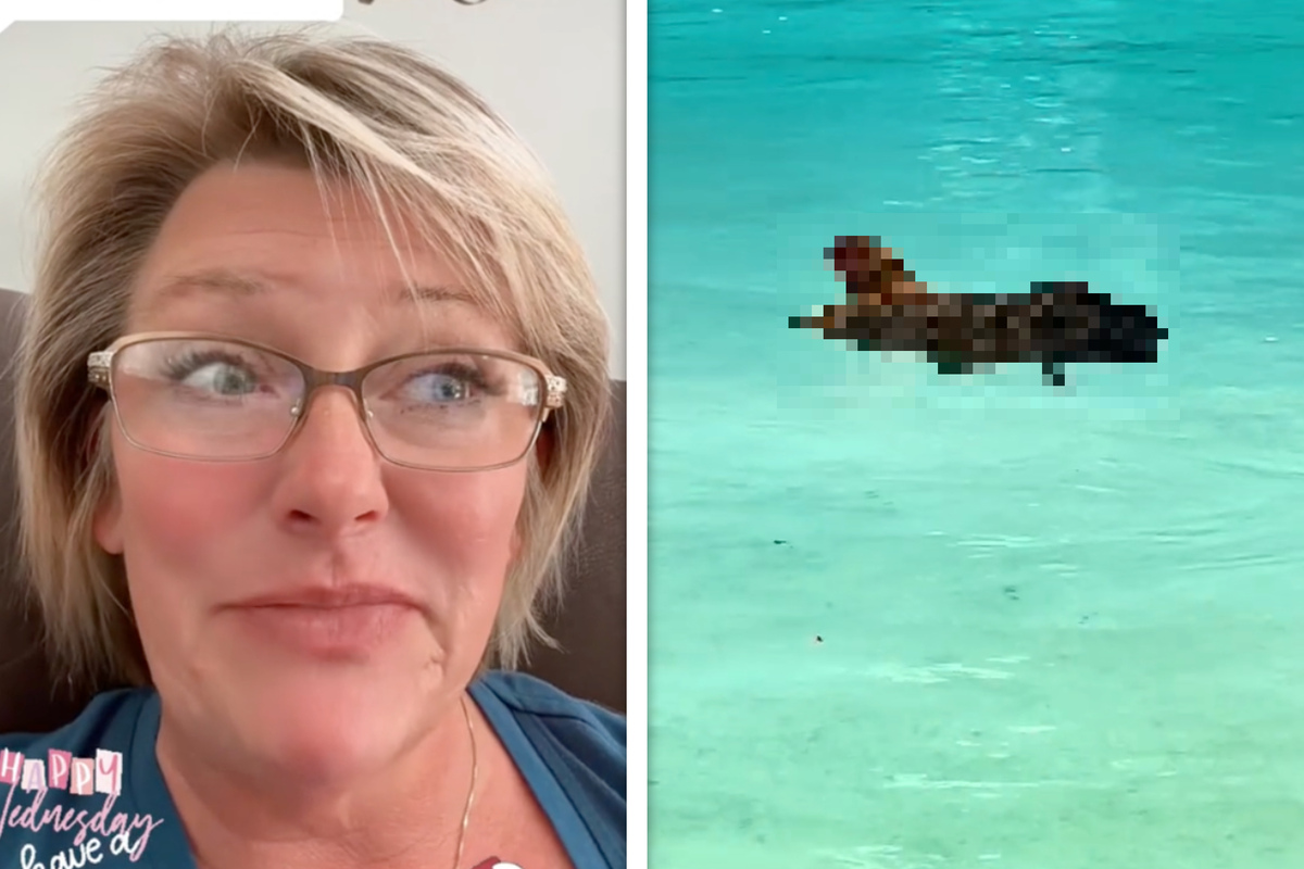 Frau schaut in ihren Garten - Was sie dann ihn ihrem Pool entdeckt ...