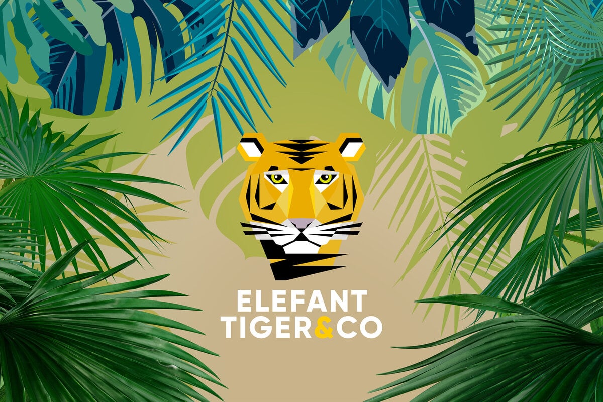 Elefant, Tiger & Co. » News zur MDR-Sendung aus Leipzig