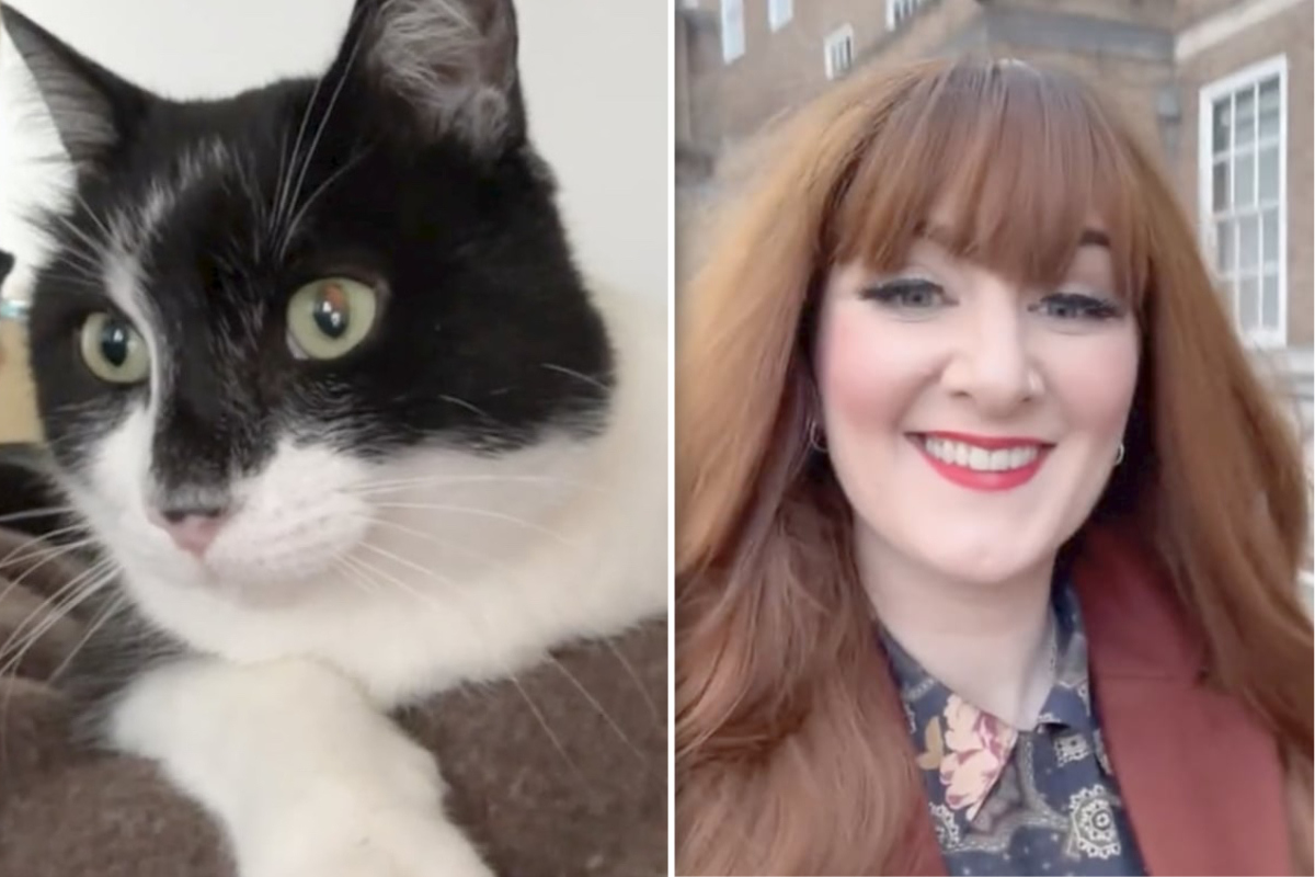 Cat crashes woman's vacation sleep in Italy!