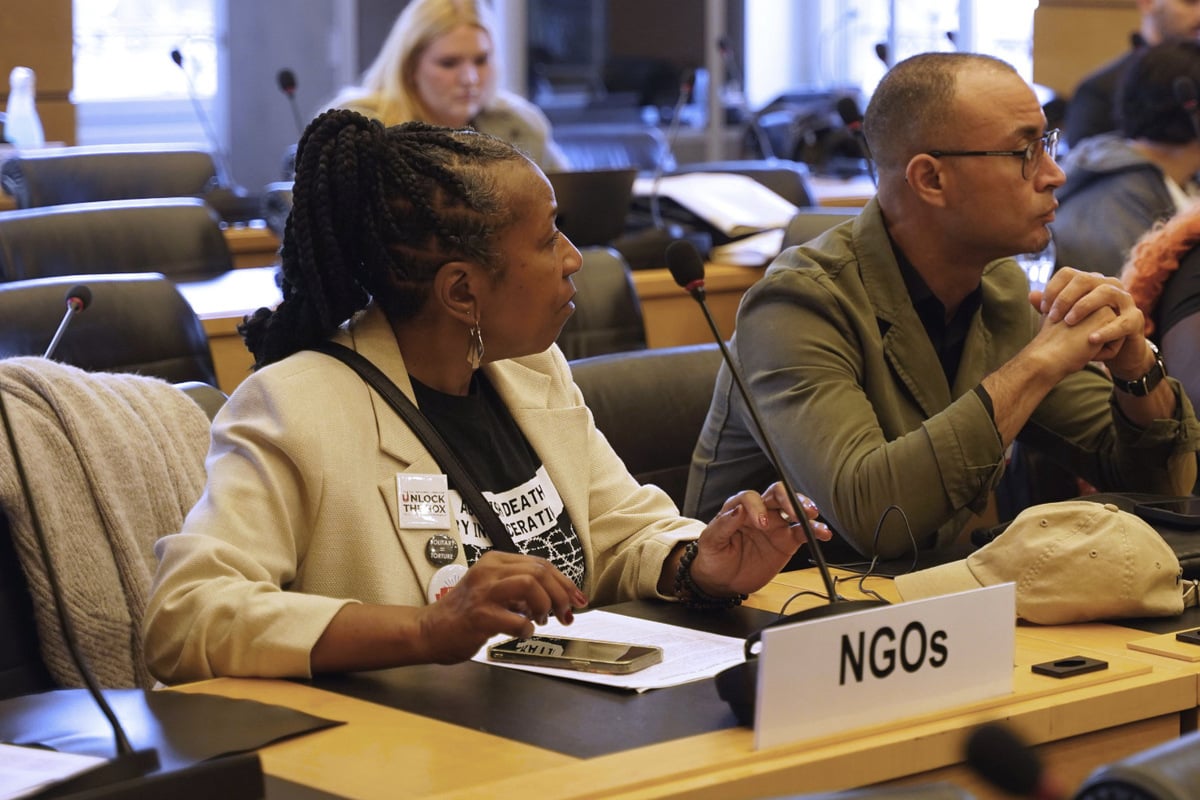 Death by incarceration: Abolitionists at UN call for end to "the other ...
