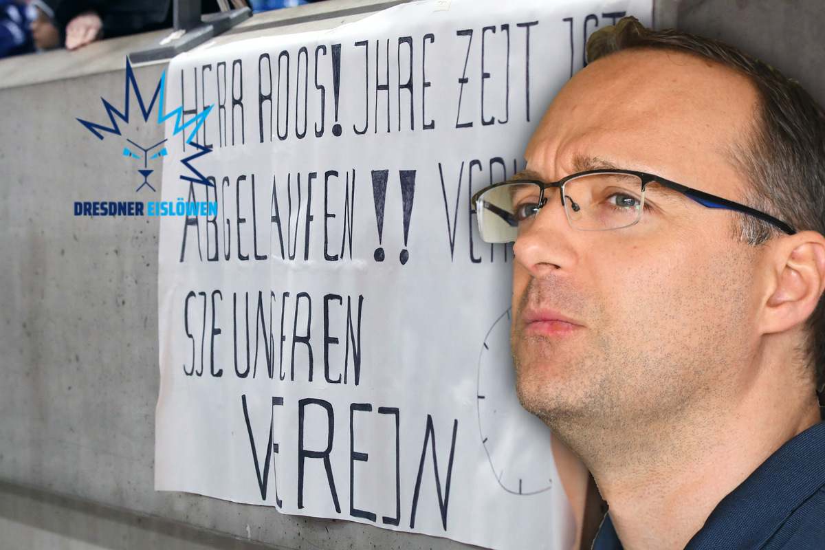 Dresdner Eislöwen: Play-downs gegen Selb! Wackelt jetzt der Stuhl von ...