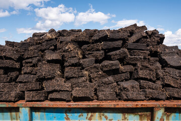 Warum ist Torf schlecht? Fatale Folgen für Umwelt und Klima