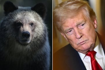 Trump administration threatens endangered species with new proposal