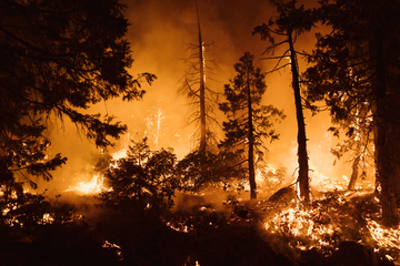 Wildfires becoming more frequent and intense due to CO2 emissions