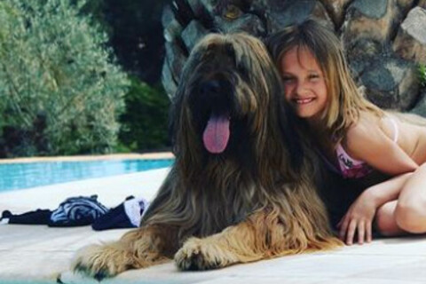 Trauer bei den Geissens - Ihr dreibeiniger Hund Dex ist tot!