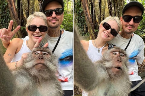 Nanu? DJ Robin Schulz sorgt mit tierischem Selfie für Lacher!