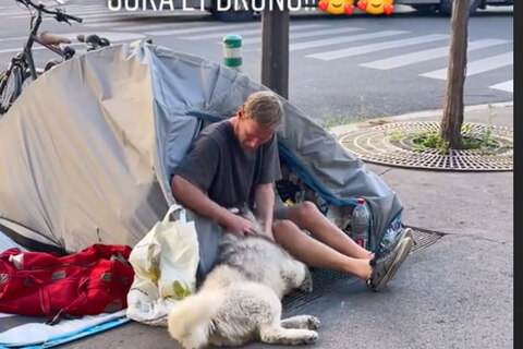 Husky makes friends with a homeless man and changes his life for the better