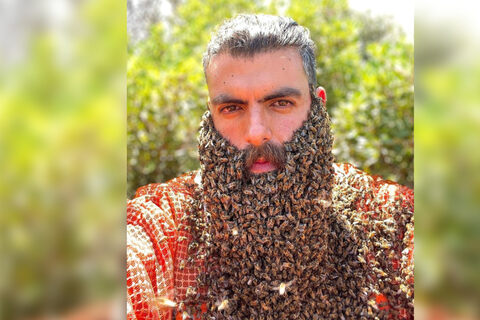 TikToker buzzes with a beard full of bees in extreme videos