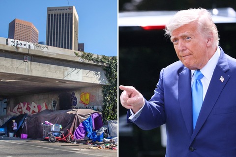 Trump signs executive order allowing cities to remove and ...