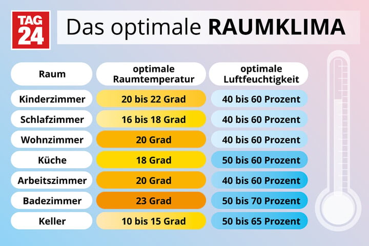 Luftfeuchtigkeit im Raum senken: So kann man Luft entfeuchten