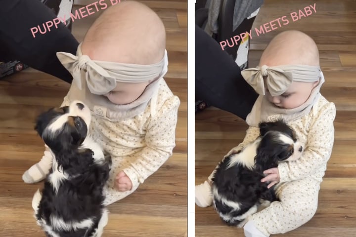 Baby and puppy's adorable bond has the internet swooning!