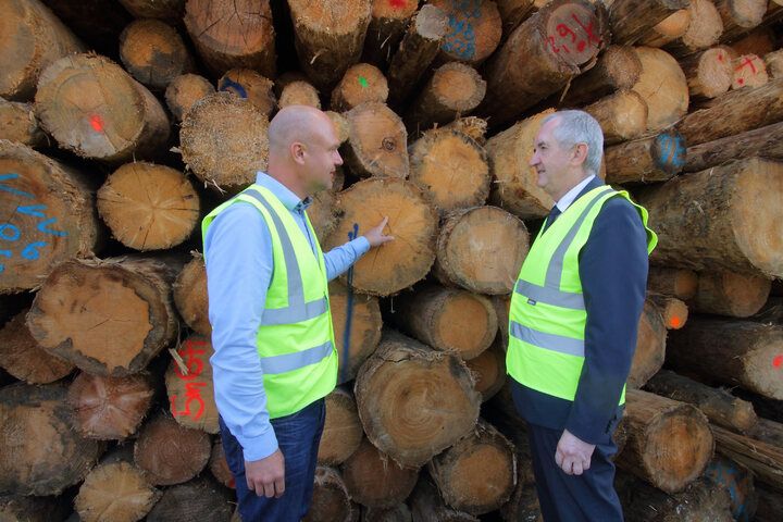 Moderner Holzbau aus der Lausitz: Niesky auf Albert Einsteins Spuren
