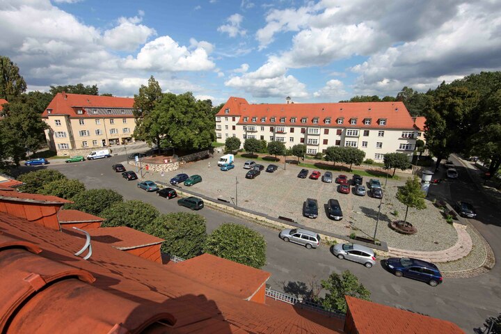 Wochenmarkt in Dresden: Beliebte Wochenmärkte vorgestellt