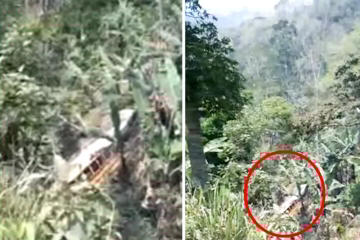 Nach schwerem Bus-Unglück: Sechs Überlebende von Killer-Bienen zu Tode ...