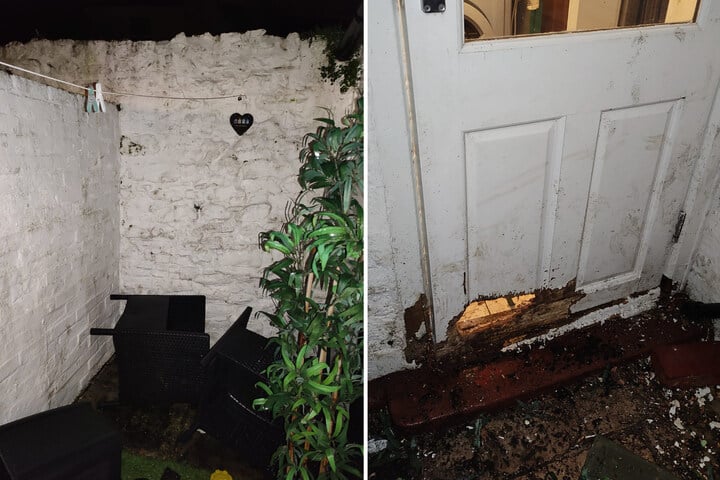 Badger burglar goes rogue in "chaos" rampage: "Something from a horror ...