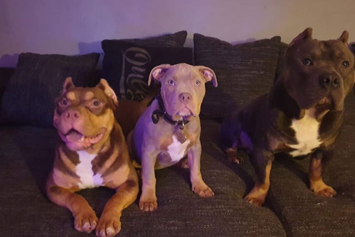 187 Strassenbande: Bonez MC begrüßt neues Familienmitglied