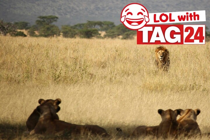 Joke of the Day for July 27, 2024: The best jokes to get your funny on ...