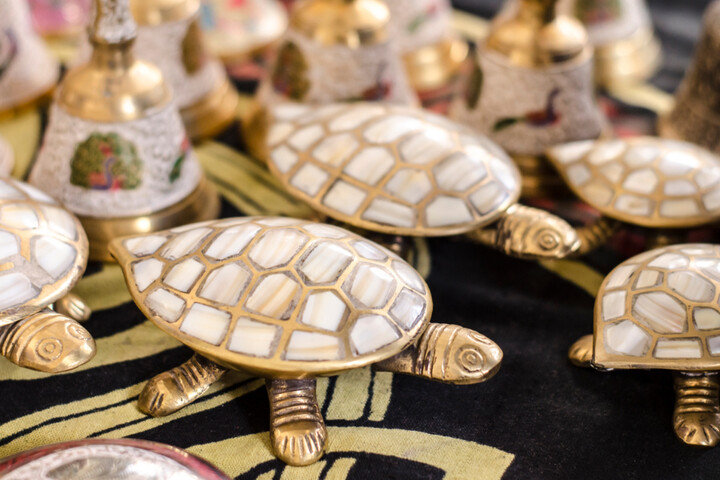 Turtle born with golden shell is worshipped as a goddess