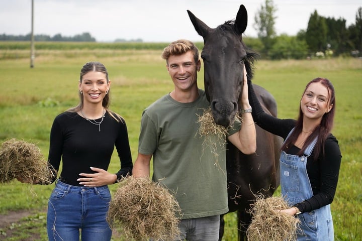 Die Hofwoche bei Friedrich: Knistern zwischen Junggeselle und Bewerberin