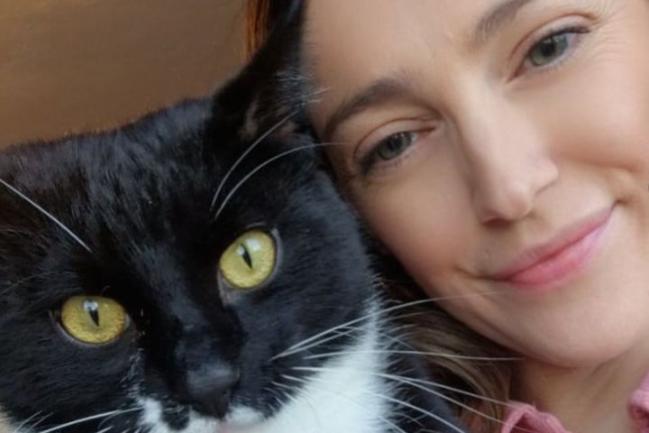 City-famous cat goes viral after causing "mischief" just about everywhere