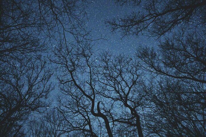 Today's horoscope: Free daily horoscope for Tuesday, January 6, 2026 ...