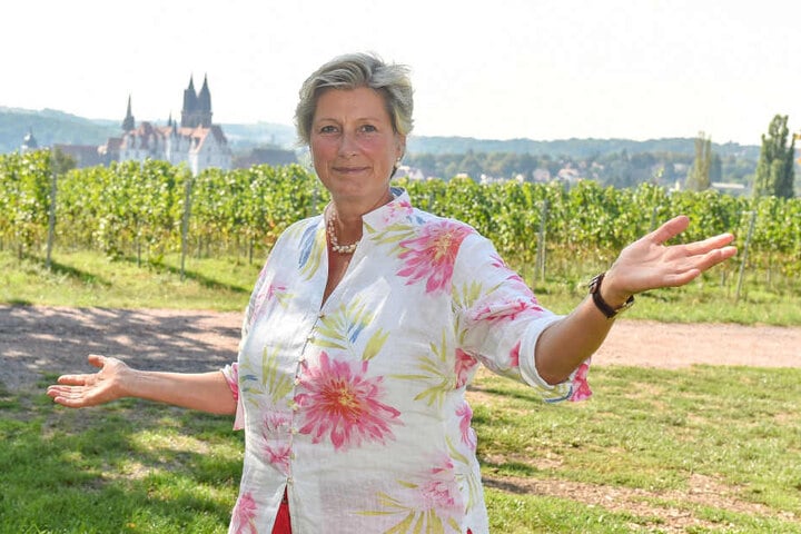 Riesen-Projekt: Das hat der Prinz zur Lippe im Proschwitzer Weinberg vor