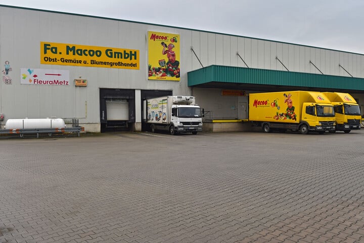 Macoo meldet Insolvenz an: Herausforderungen für Dresdner Großhändler