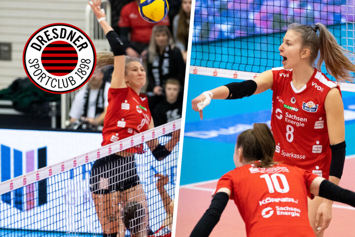 DSC Damen Volleyball News - Dresdner Sportclub 1898 | TAG24