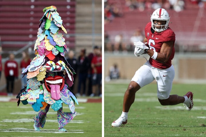Stanford Tree Ccllege football mascot gets the boot after on-field stunt