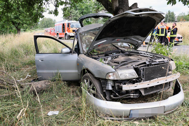 Unfall in Unterfranken: Audi-Fahrer (†20) kracht frontal in Baum und stirbt sofort - Polizei ...
