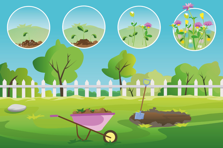 Eine Blumenwiese anlegen: Tipps für den blühenden Garten