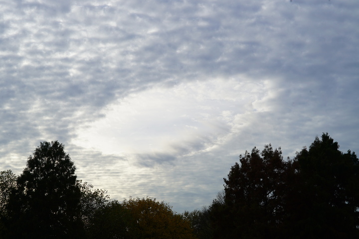 Ungewöhnliche Wolken über Hamburg: Das sagt eine Wetterbeobachterin