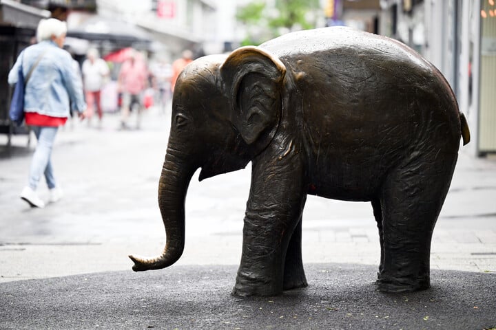 Heute vor 75 Jahren in Wuppertal: Der unglaubliche Sturz des kleinen ...