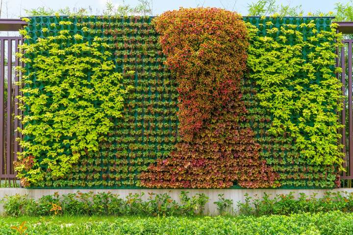 Vertikaler Garten: Ideen für einen Mini-Dschungel
