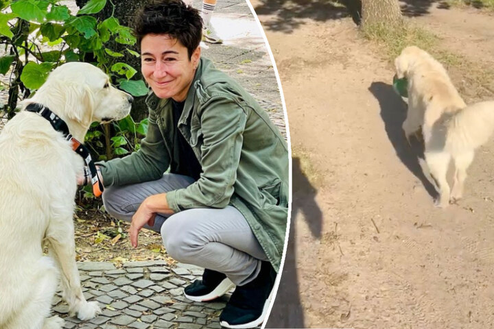 Dunja Hayali entzückt Fans erneut mit ihrer Hündin