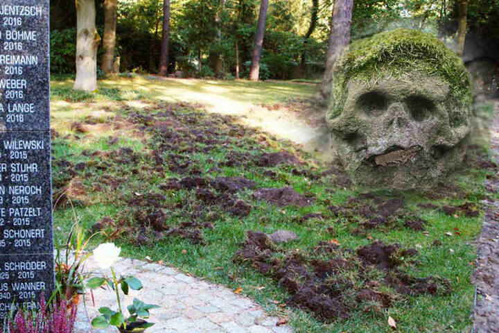 Friedhöfe in Not! Leichen verwesen nicht mehr