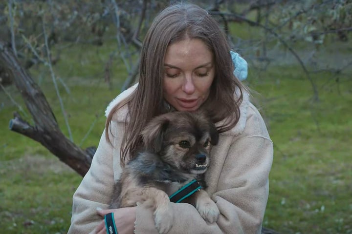 Hund wird in Ukraine ausgesetzt: Was er dann tut, bricht Beobachtern ...