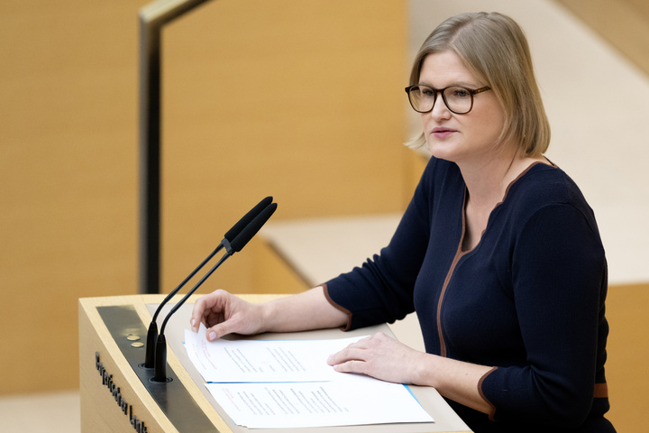 AfD-Abgeordnete reisen als "Demokratie-Experten" zur Wahlbeobachtung ...