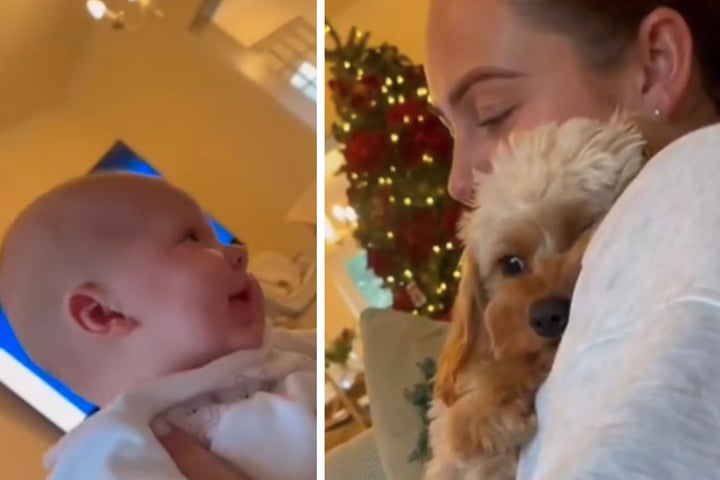 Velcro dog has the cutest reaction to new twin babies: "Don't worry Paolo!"