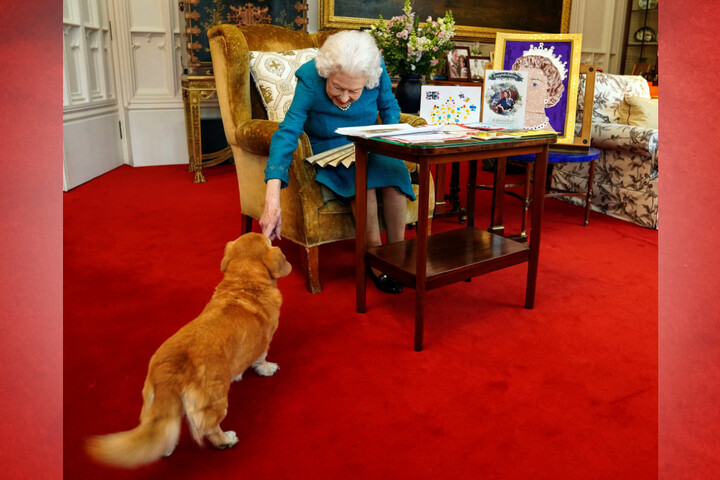 Die Hunde der Königin: Diese lustigen Namen gab Queen Elizabeth ihren ...