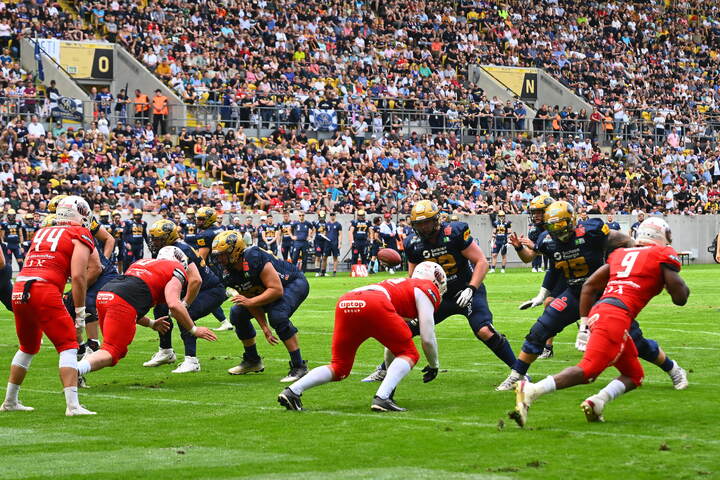 Dresden Monarchs bei den New Yorker Lions Braunschweig: Die Physis wird ...