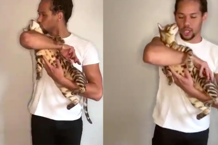 Aspiring actor tries to record audition tape, but his cat steals the show!