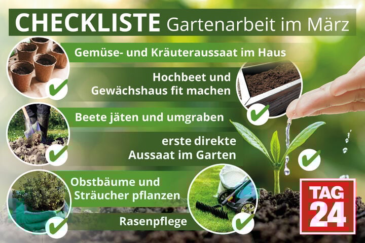 Gartenarbeit im März: Das musst Du jetzt tun