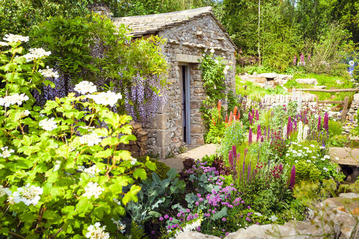 Naturgarten anlegen » Tipps, Tricks & Anleitungen