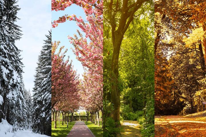 Leap day and leap year: Everything you need to know | TAG24