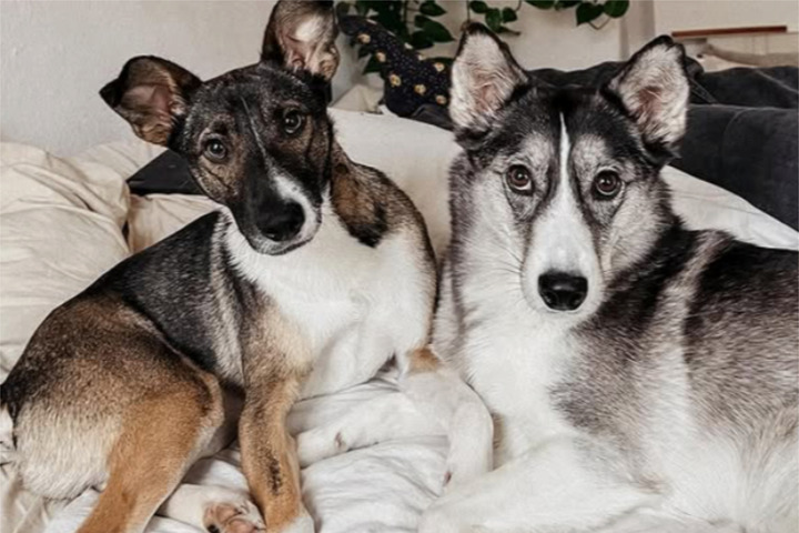 Süße News bei Malte Zierden und Freundin Phia: "Endlich ne richtige ...