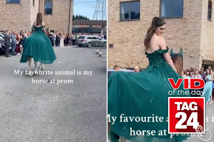 Viral Video of the Day for February 9, 2025: Girl rides horse to prom ...
