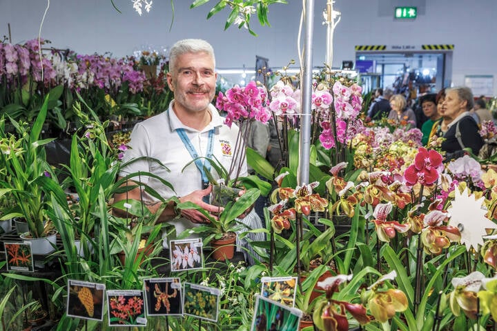 Ostermesse lässt Dresden aufblühen